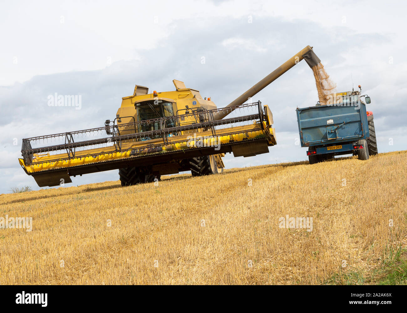 Combine harvester in feed loading trailer with grain, Chisbury ...
