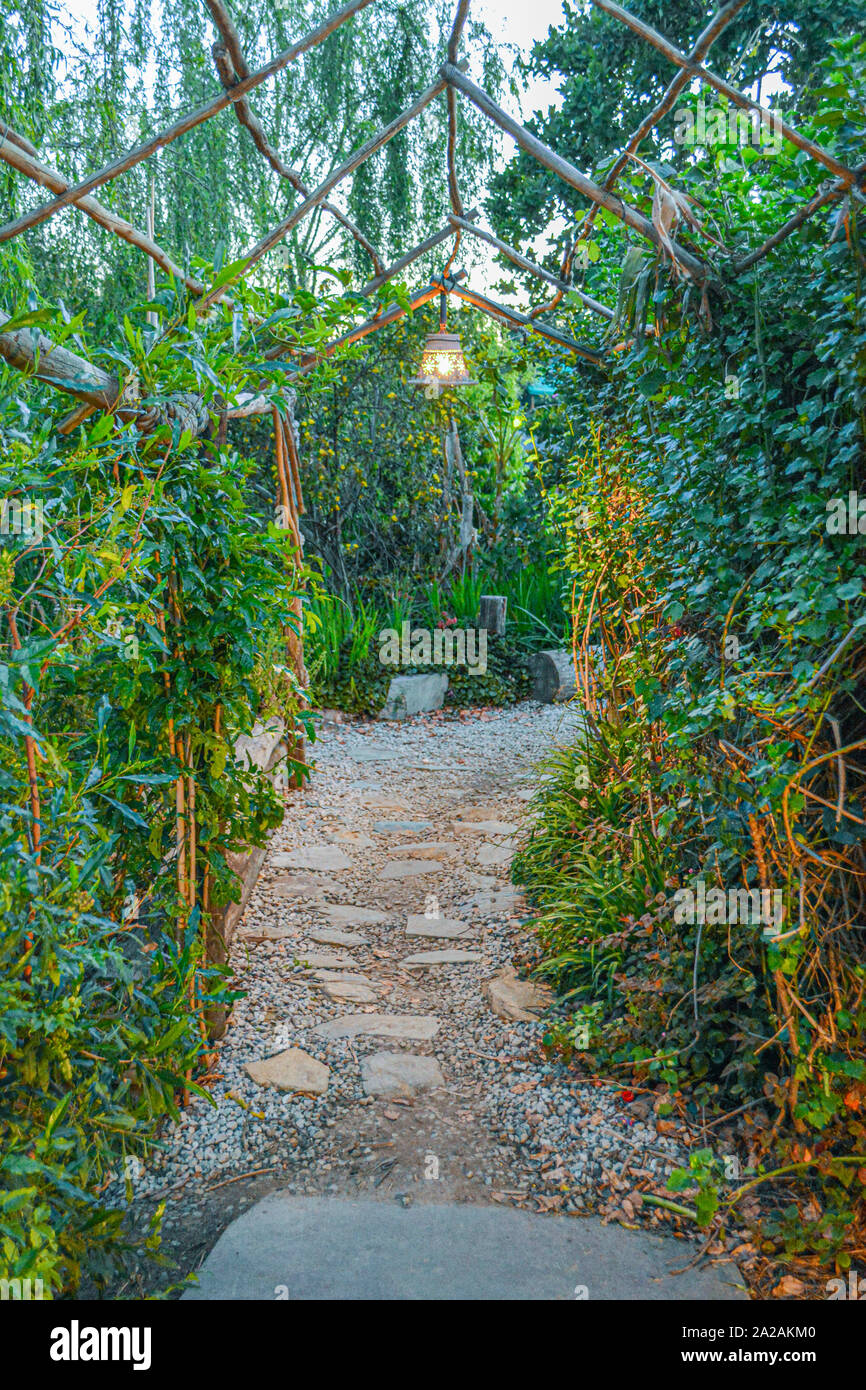 Little path in Tsitsikamma National Park in South Africa Stock Photo ...