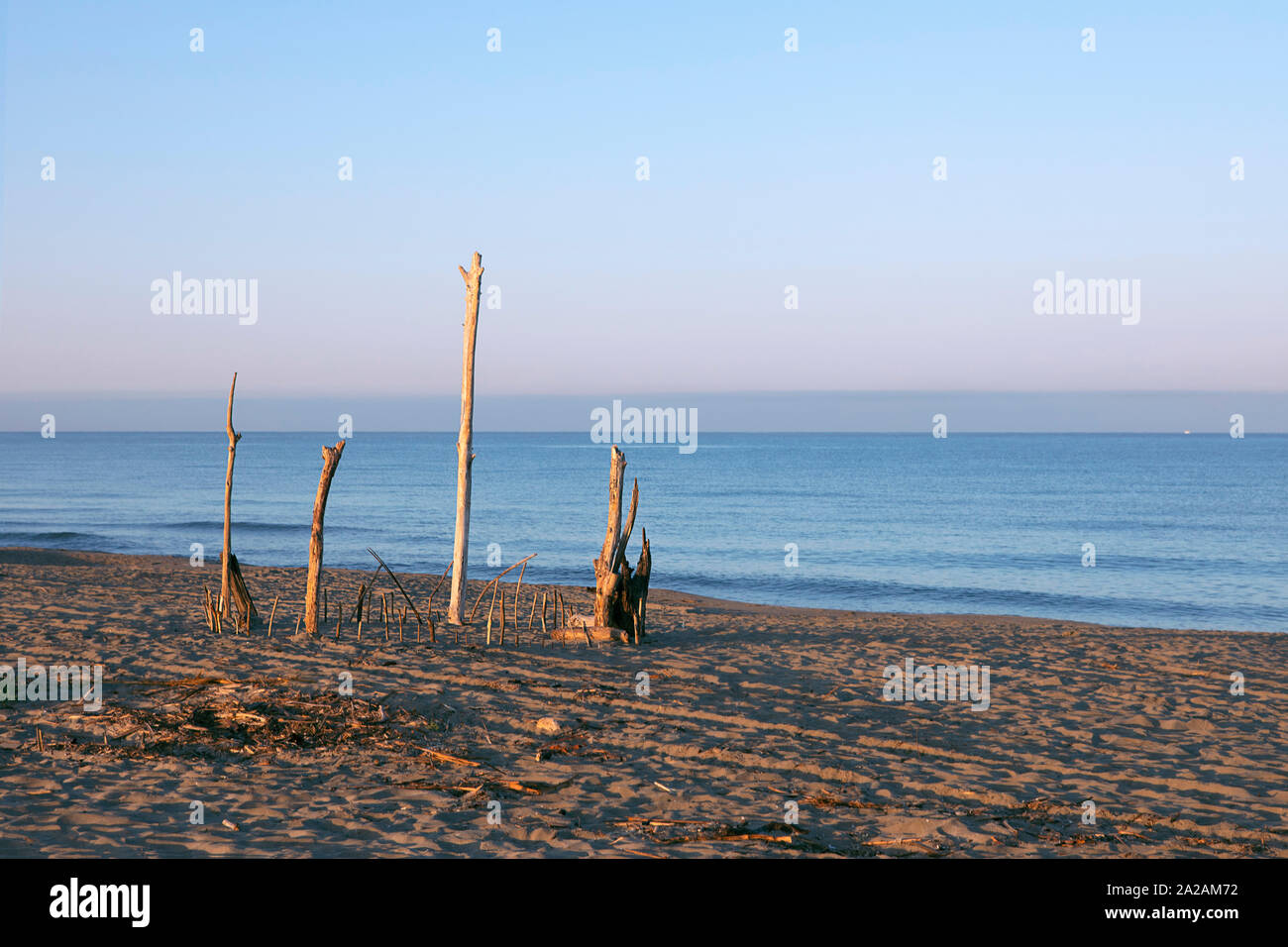 A sculpture of sticks on the beach, twigs construction on the beach ...
