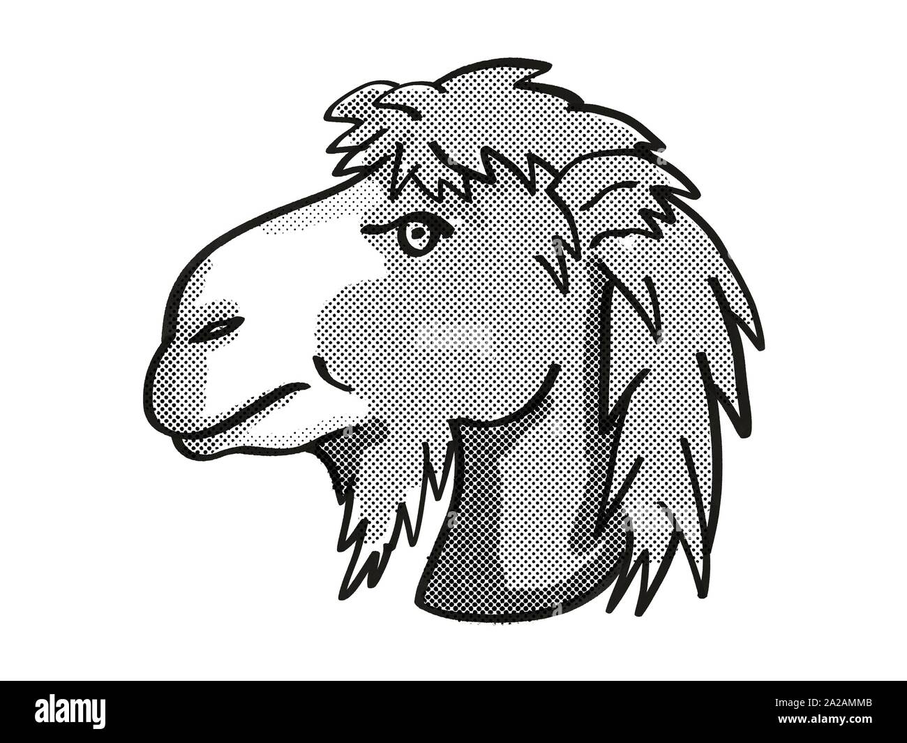 Retro cartoon mono line style drawing of head of a Bactrian Camel or ...
