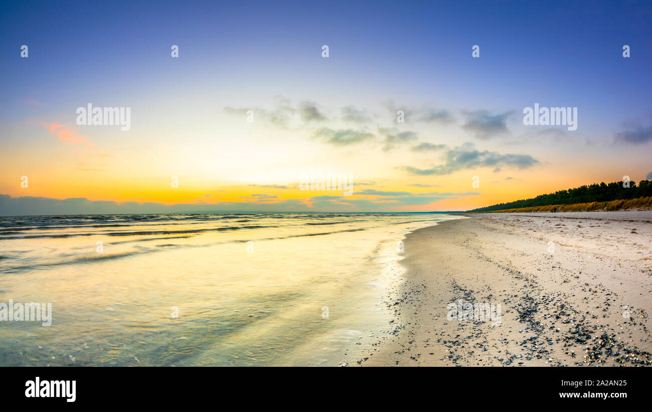 Sunrise at the ocean with shells on the beach Stock Photo - Alamy