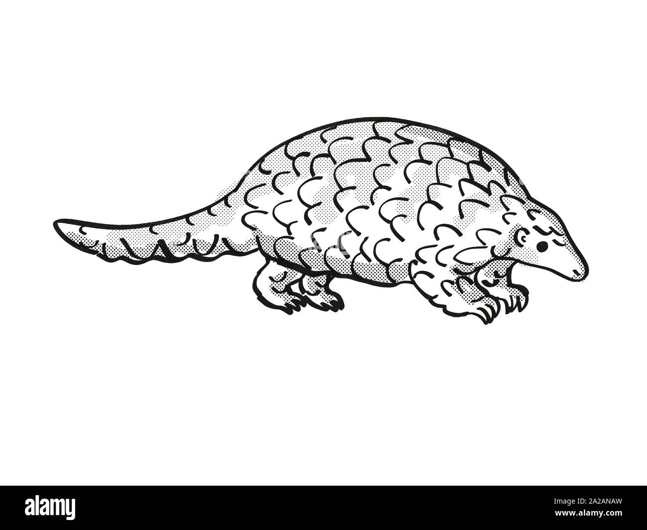 Endangered pangolin Cut Out Stock Images & Pictures - Alamy