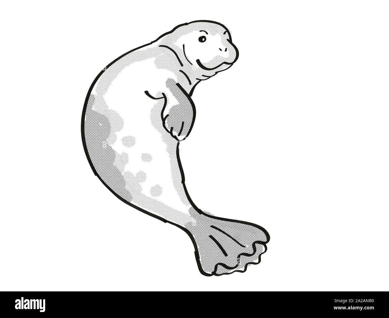 Retro Cartoon Mono Line Style Drawing Of A Hawaiian Monk Seal An