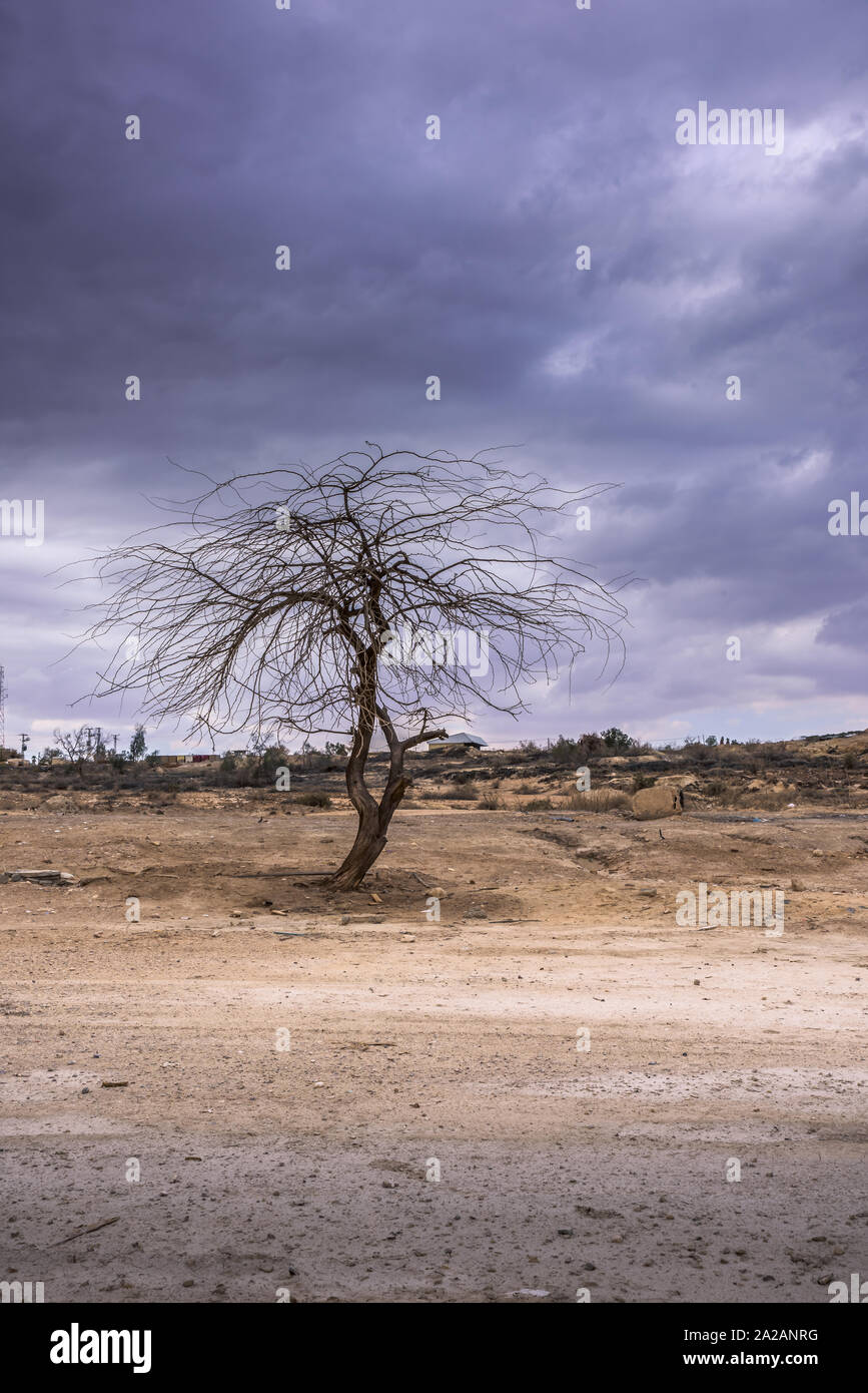 Still life in desert hi-res stock photography and images - Alamy