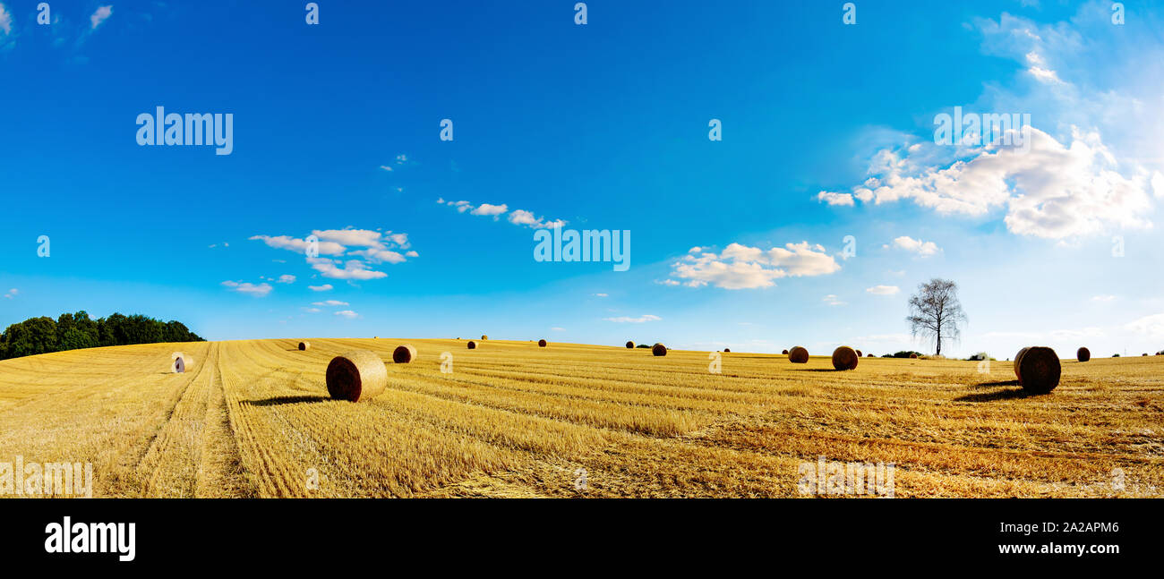 Landscape in summer with hay bales on a field and blue sky with bright ...