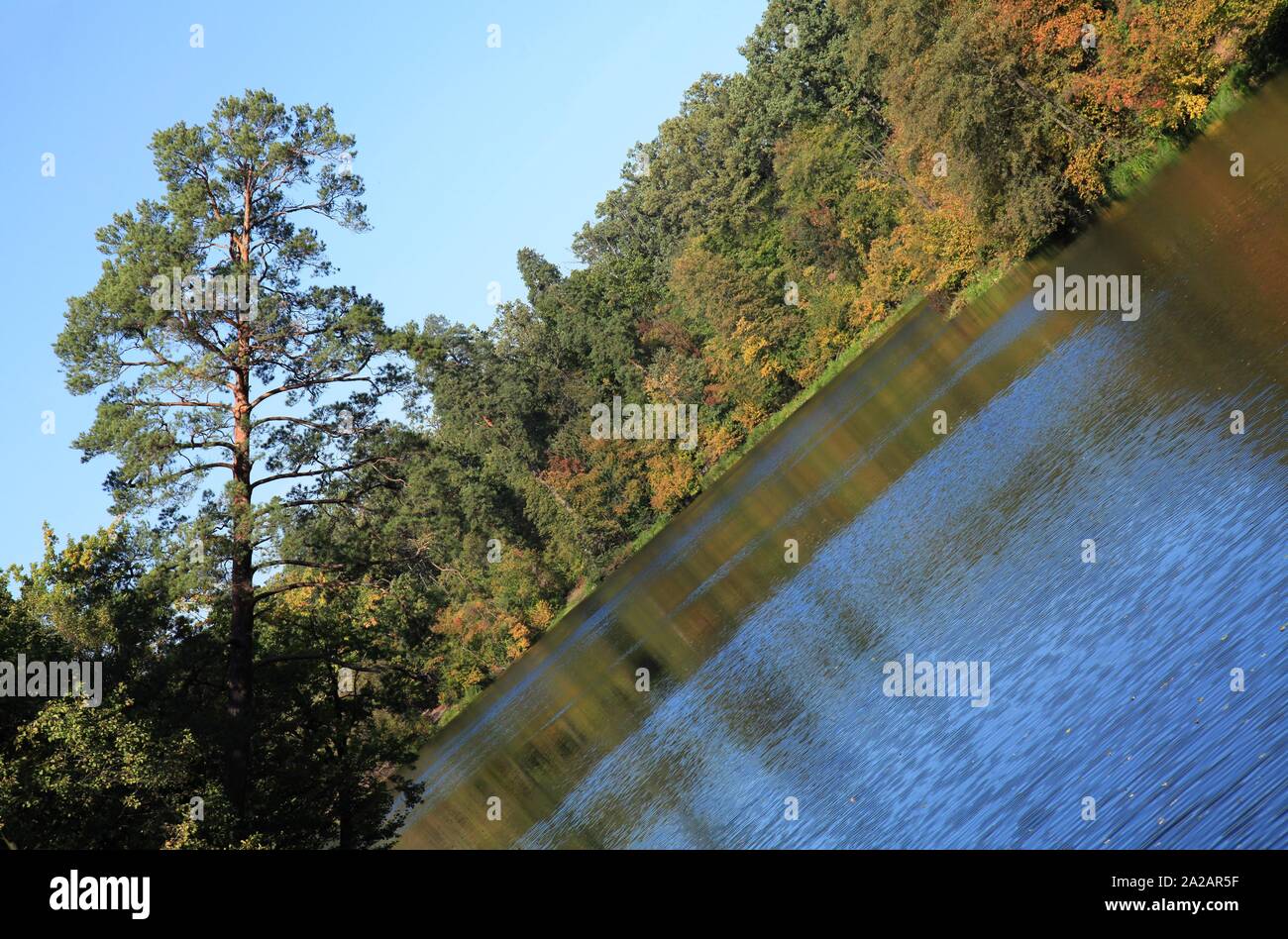 Tree visualization hi-res stock photography and images - Alamy