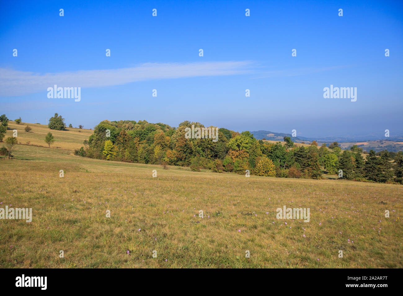 Beautiful nature rural landscape, forest and hills, panoramic view from ...