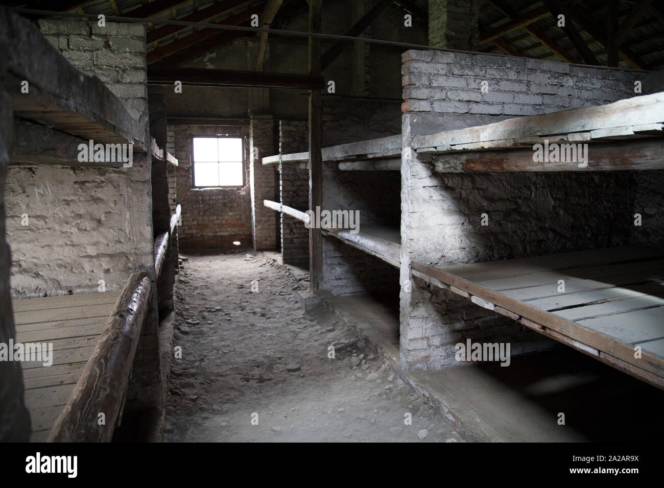 Bunks in Block 25, women death block, Auschwitz-Birkenau, former German ...