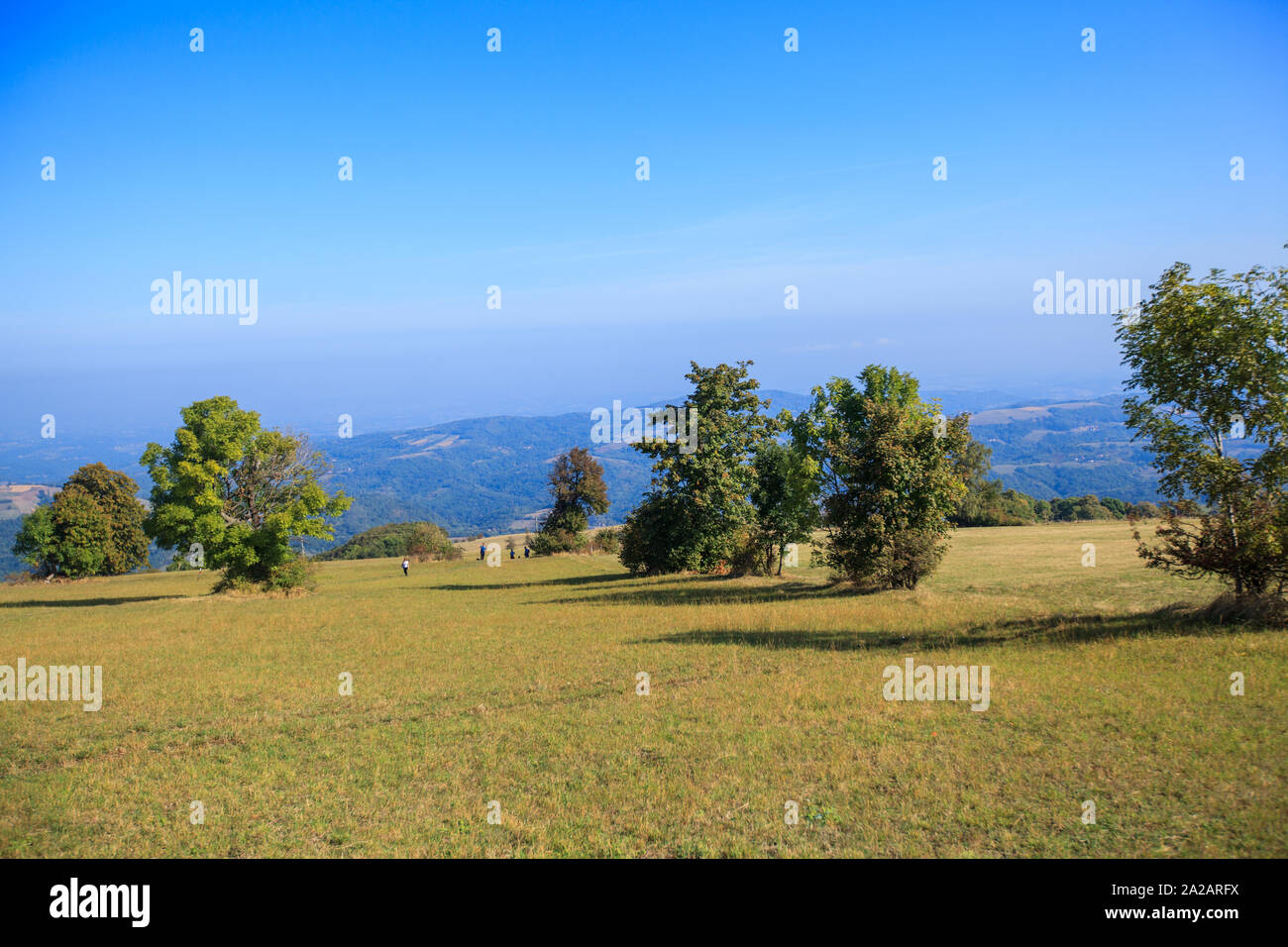 Beautiful nature rural landscape, forest and hills, panoramic view from ...