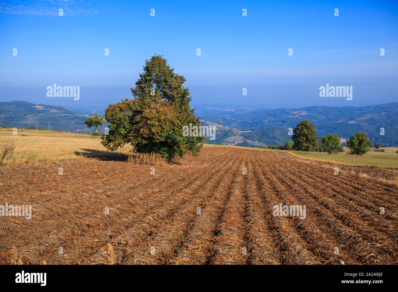 Beautiful nature rural landscape, forest and hills, panoramic view from ...