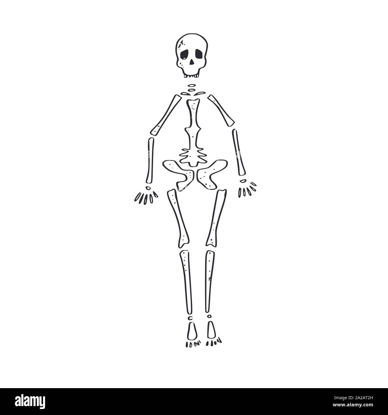 Skeleton. vector hand drawn cartoon doodle Stock Vector Image & Art - Alamy