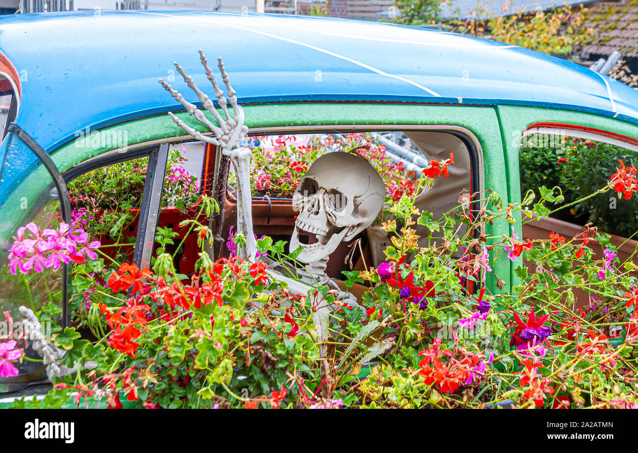 Cool skeleton hi-res stock photography and images - Alamy