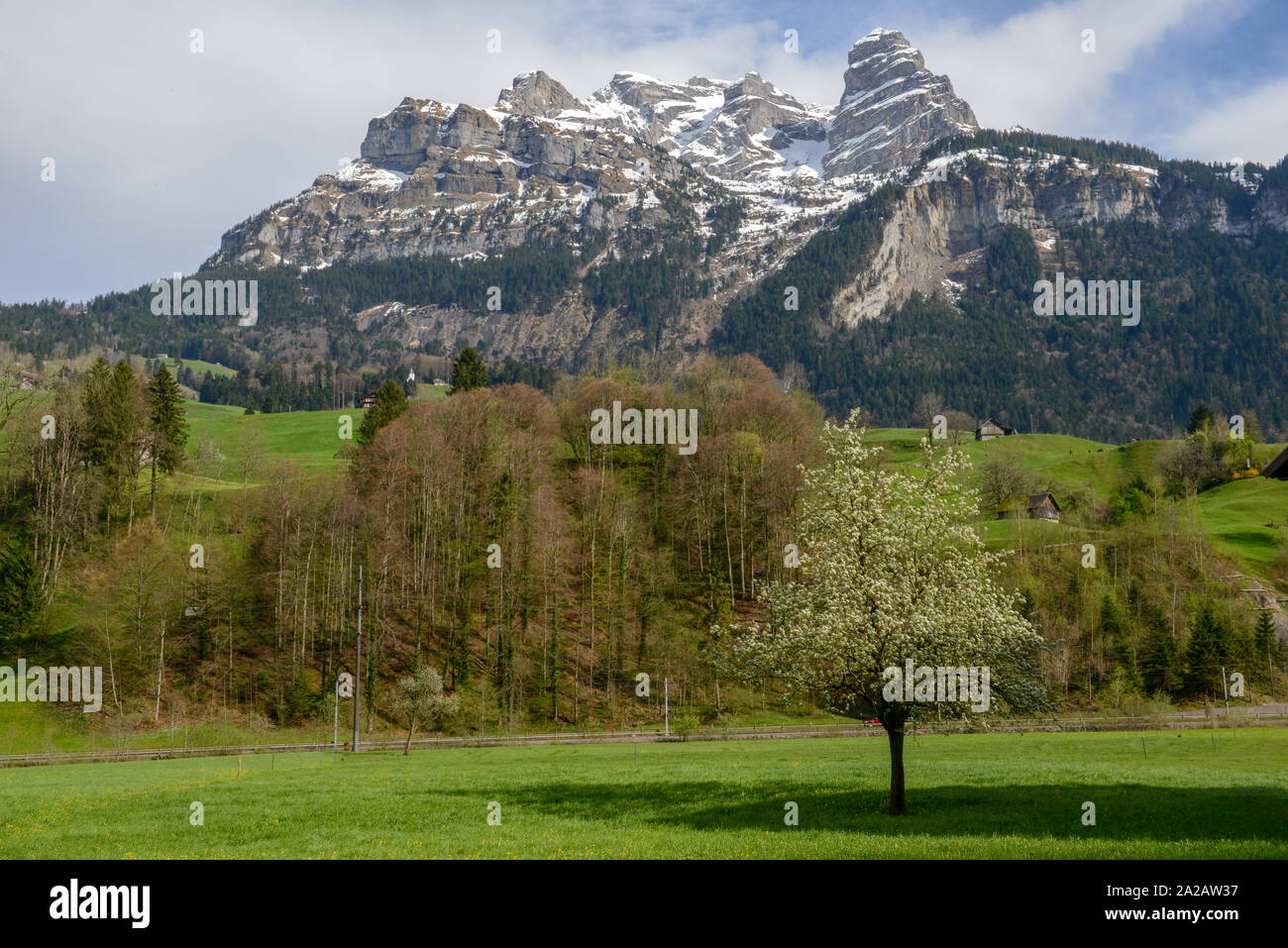 Landscape at the village of Grafenort on the Swiss alps Stock Photo - Alamy