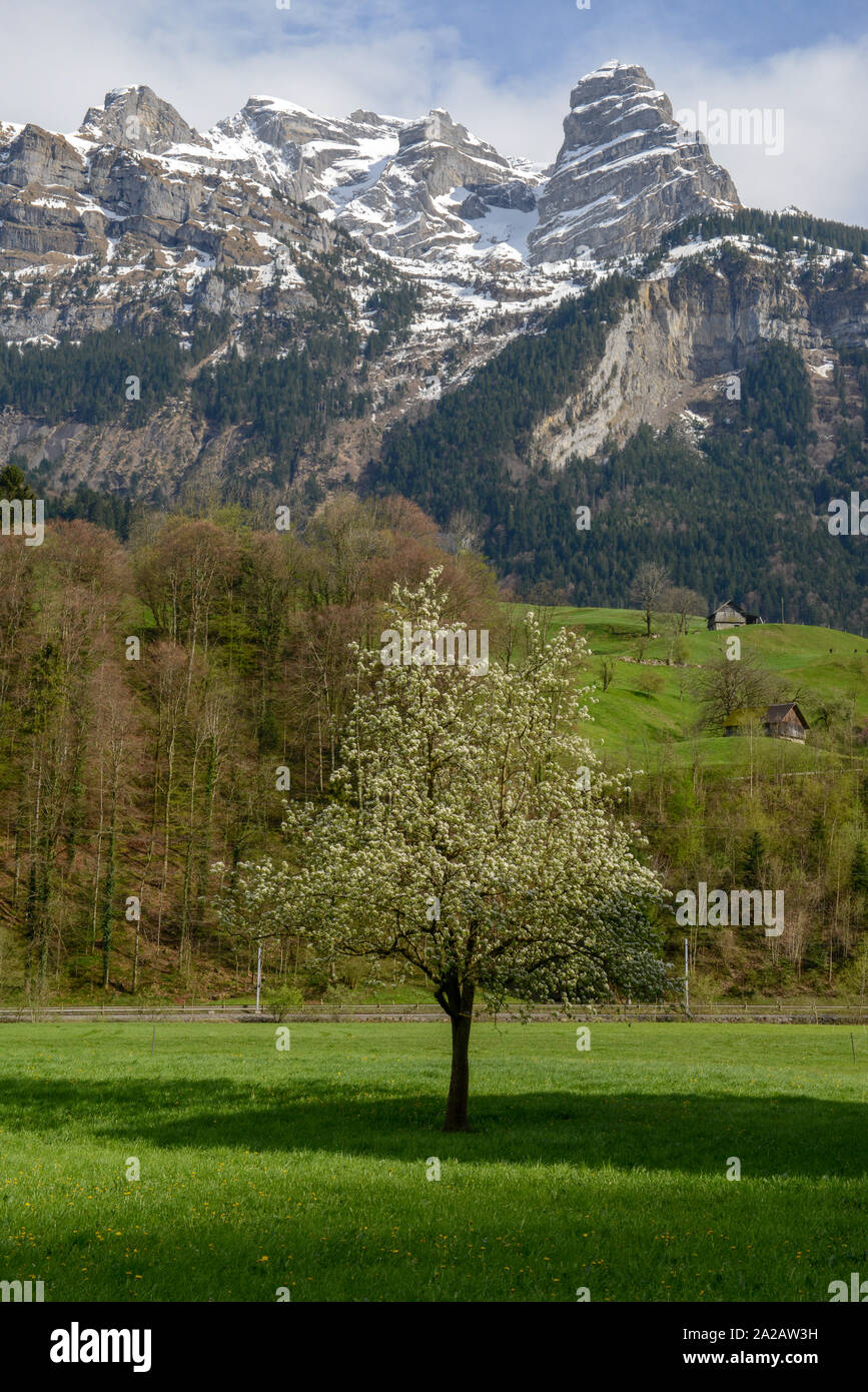 Landscape at the village of Grafenort on the Swiss alps Stock Photo - Alamy