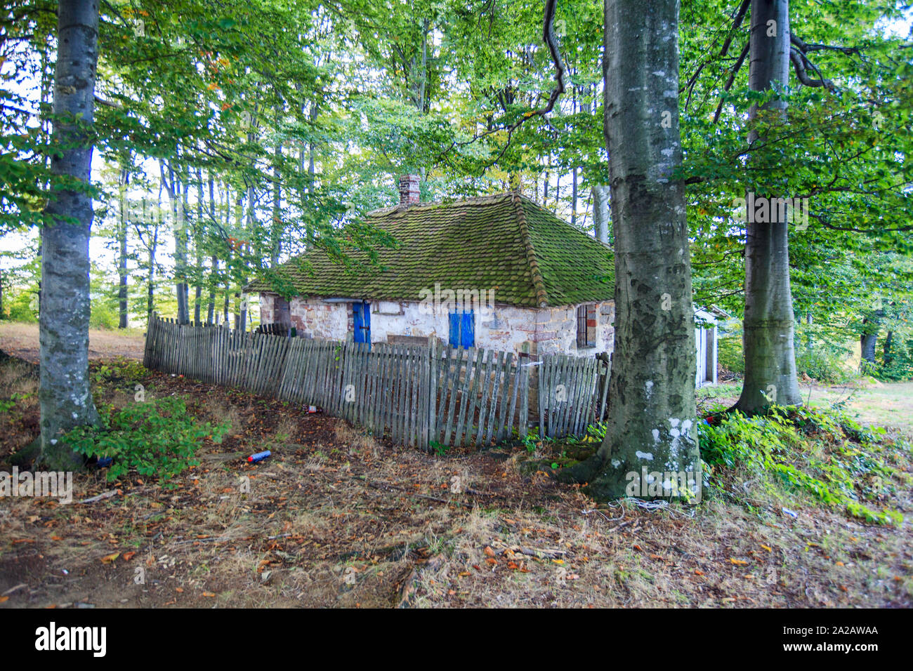 Old rustic abandoned house in forest at mount Rajac , Serbia, Europe ...