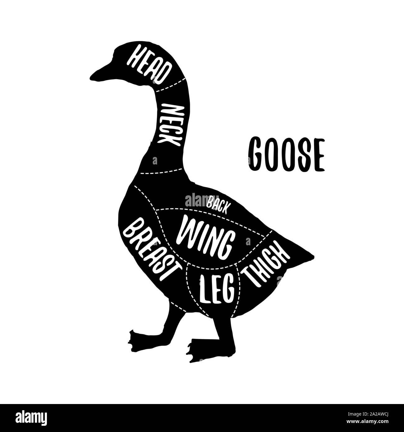 Goose meat cutting charts vector illustration for butchers shop guide ...