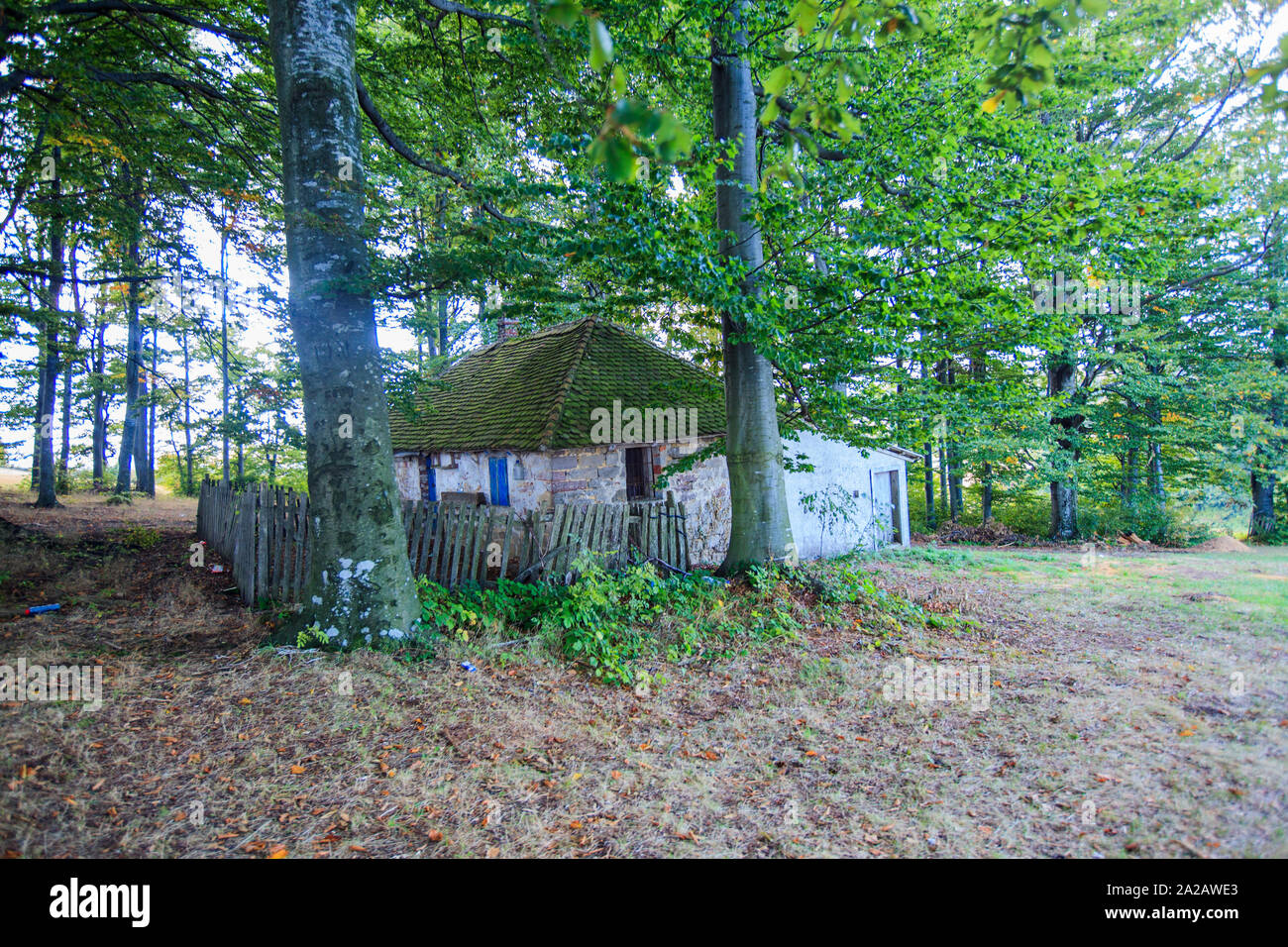 Old rustic abandoned house in forest at mount Rajac , Serbia, Europe ...