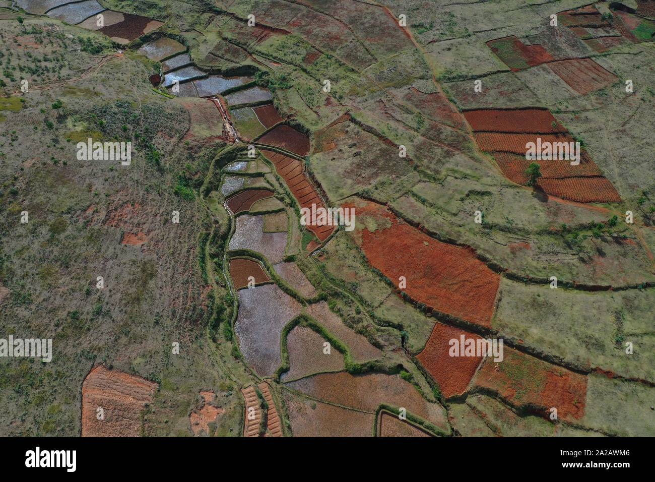 Madagascar rice paddy hi-res stock photography and images - Alamy