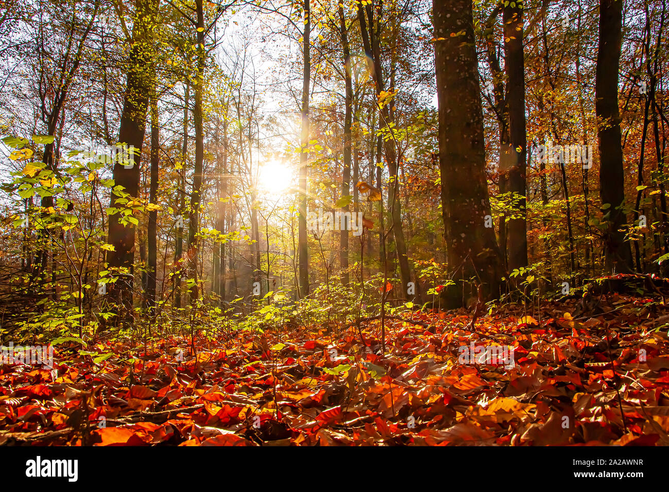 The sun light and hiking hi-res stock photography and images - Alamy