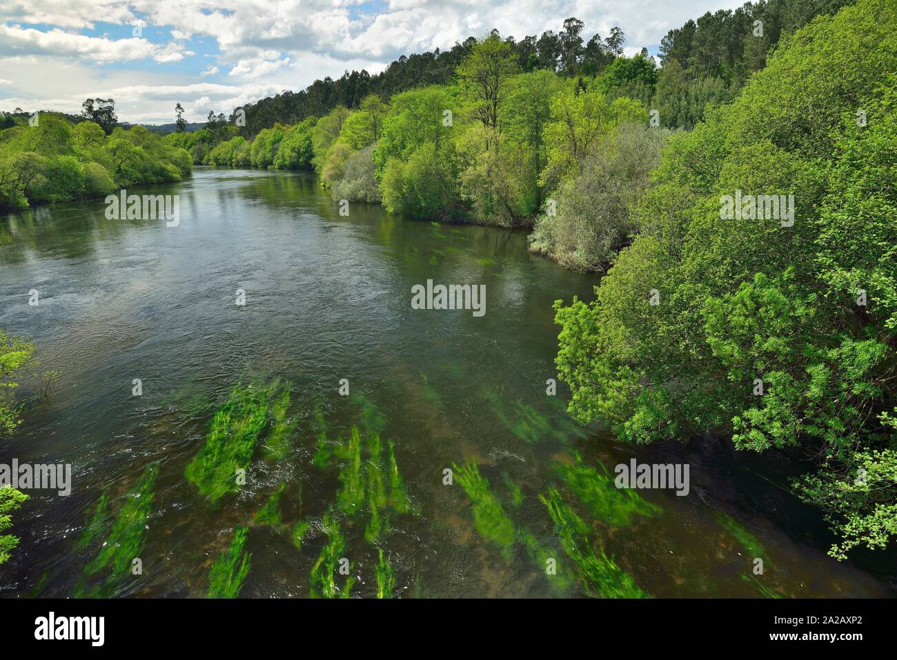 Ulla river hi-res stock photography and images - Alamy