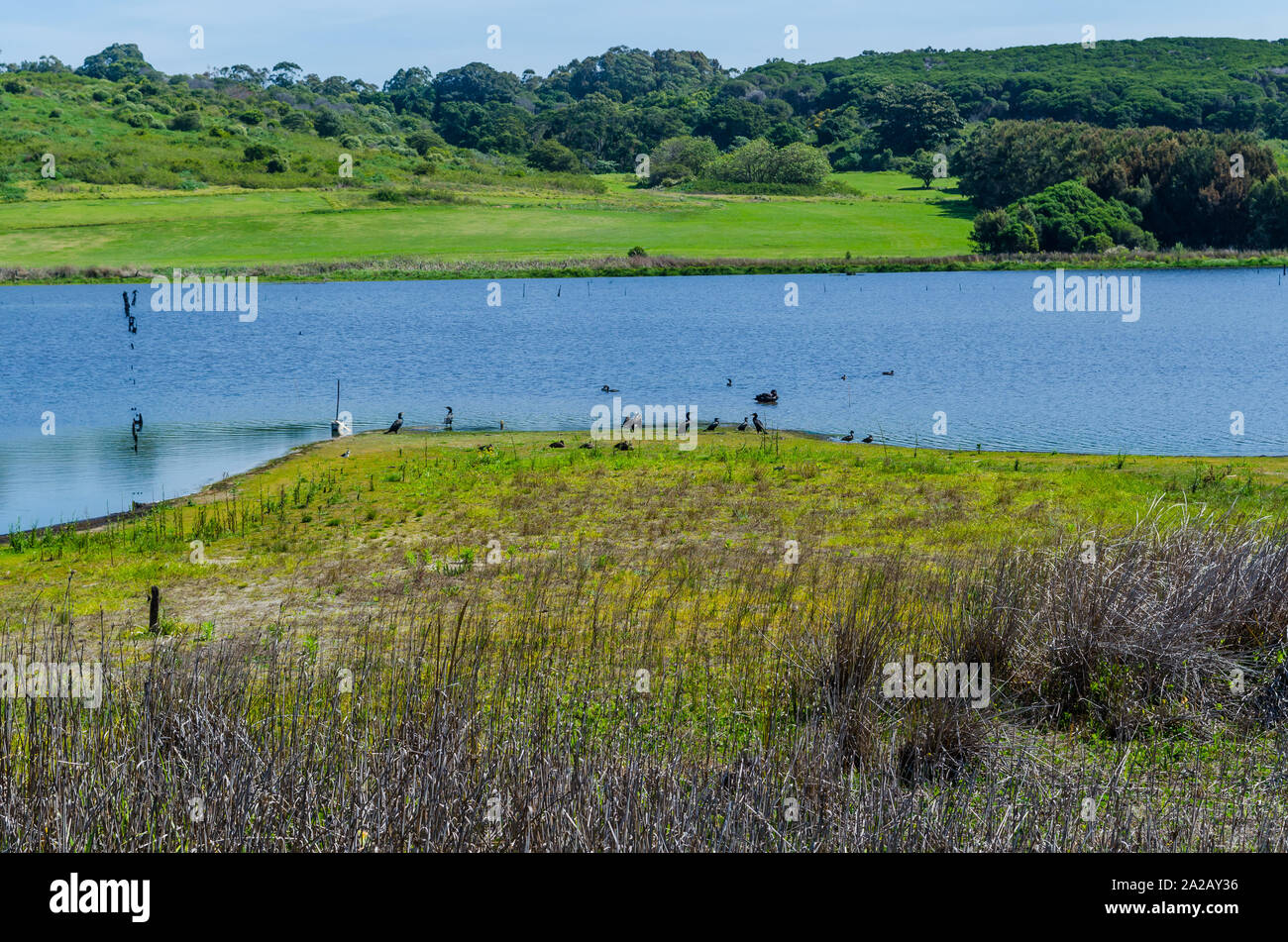 Killalea Lagoon, Killalea Reserve New South Wales Australia Stock Photo ...