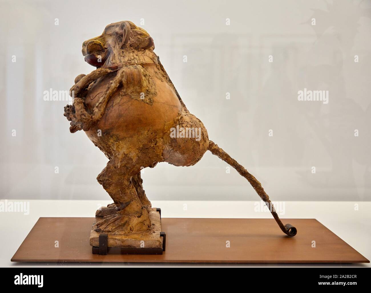 Guenon hi-res stock photography and images - Alamy