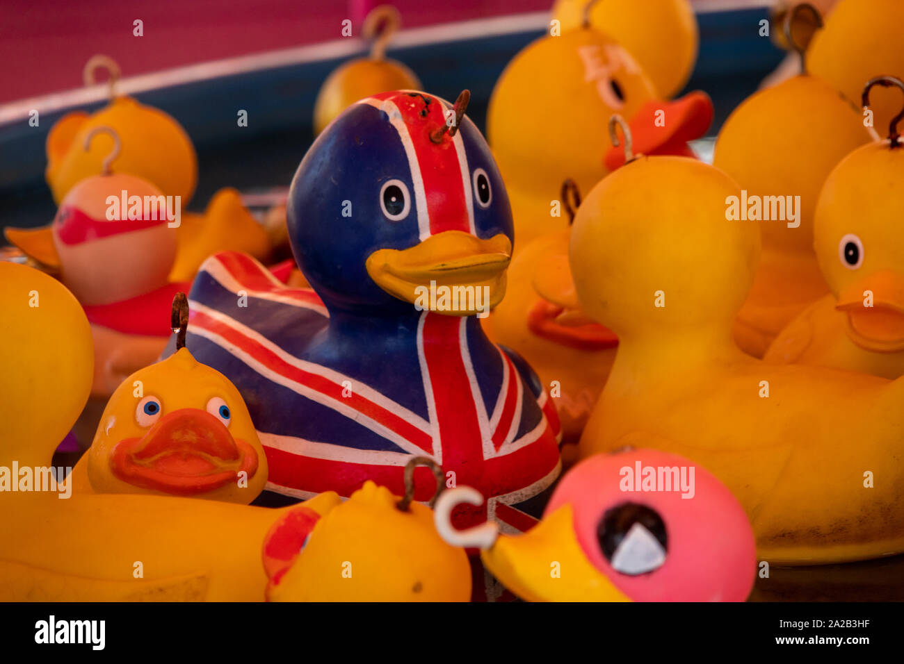 Sitting ducks hi-res stock photography and images - Alamy