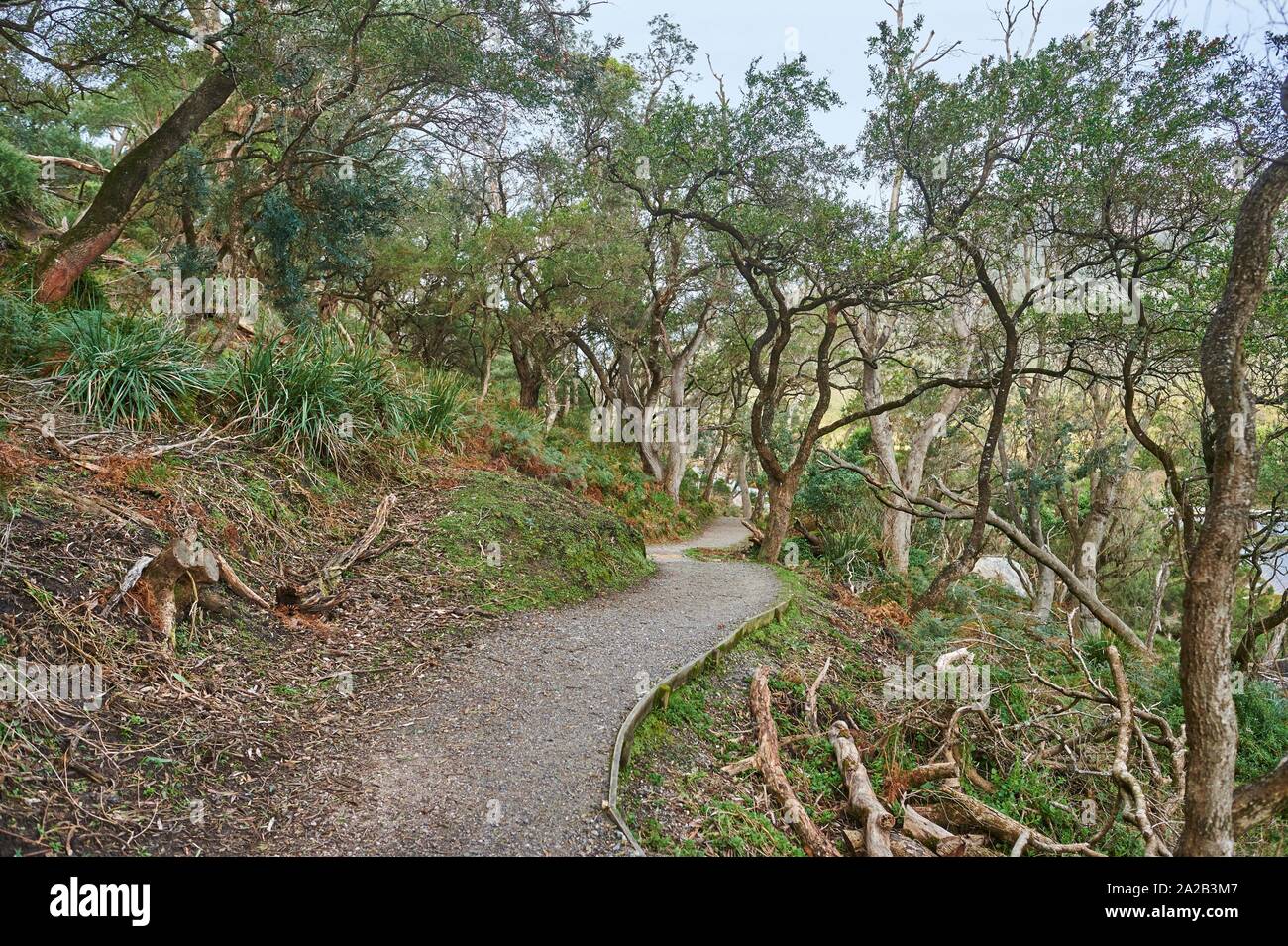Spring australia hi-res stock photography and images - Alamy