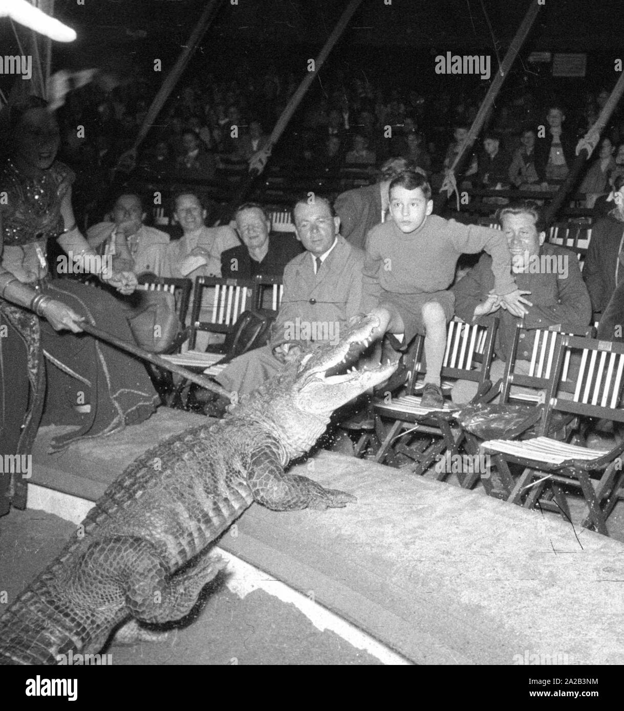 Appearance of Karah Khavak, the "Lord of the Crocodiles" in a circus in ...