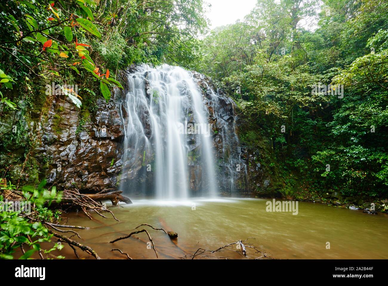 Rainforest waterfall australia hi-res stock photography and images - Alamy