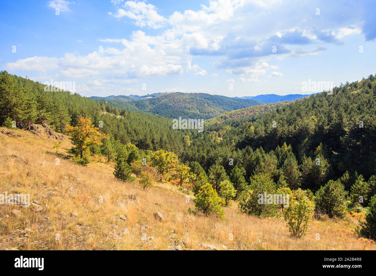 Beautiful nature rural landscape, forest and hills, panoramic view from ...