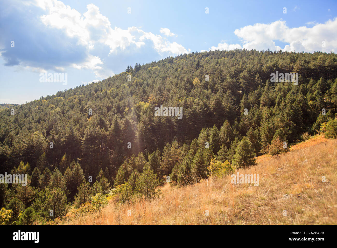 Beautiful nature rural landscape, forest and hills, panoramic view from ...