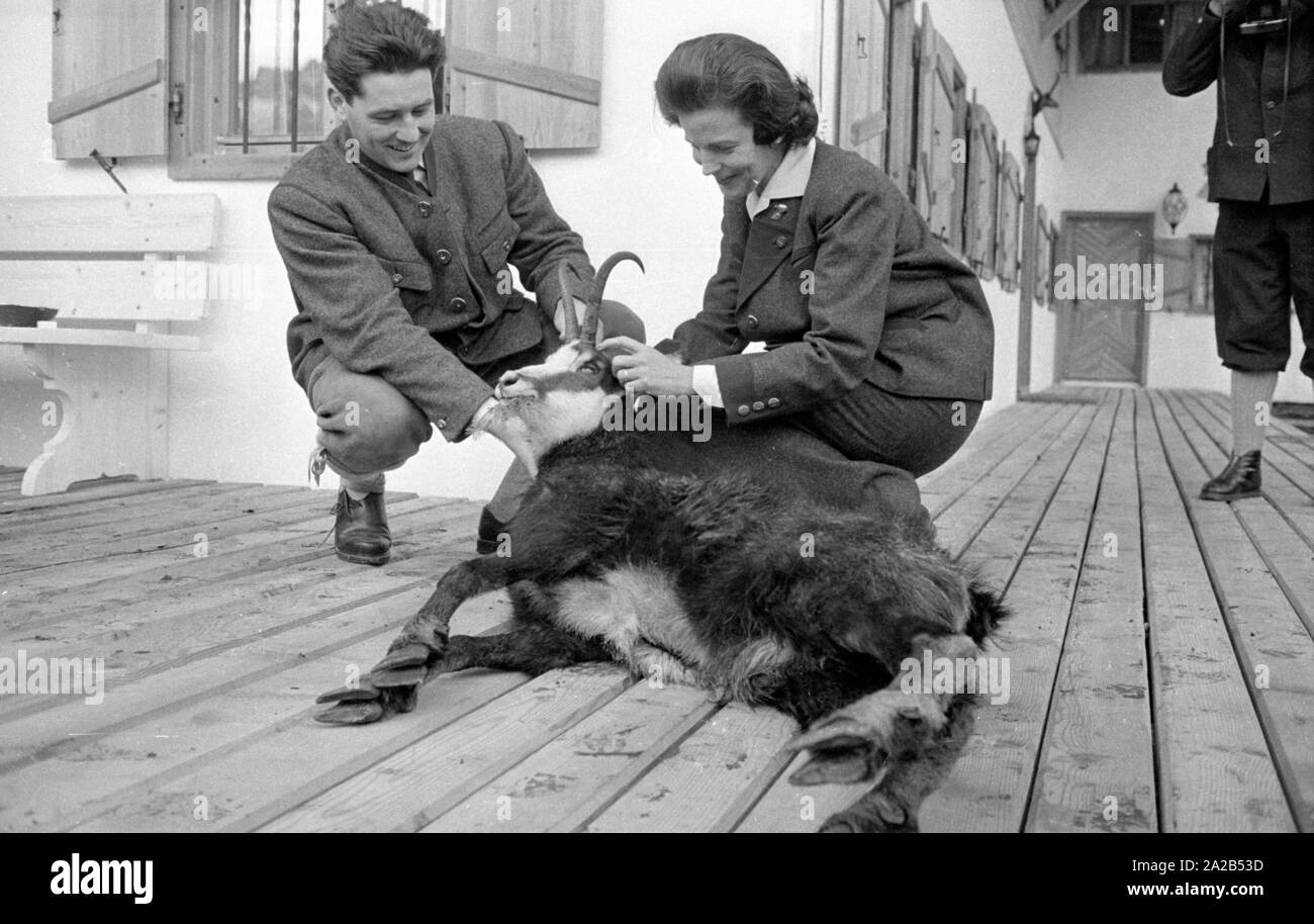 Excursion of the high nobility around Leopold III, then king of Belgium ...