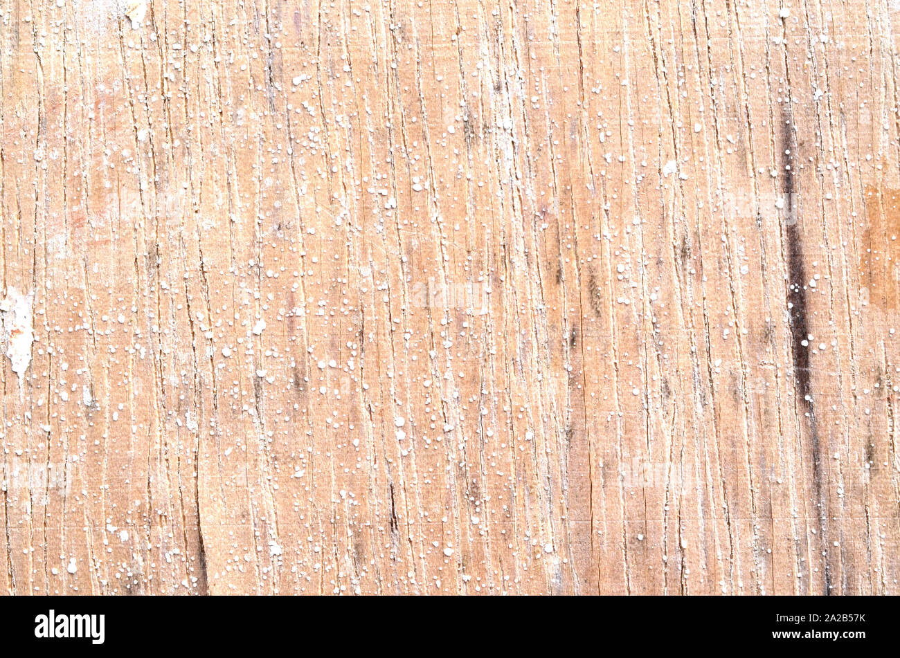 Knotty wooden boards hi-res stock photography and images - Alamy