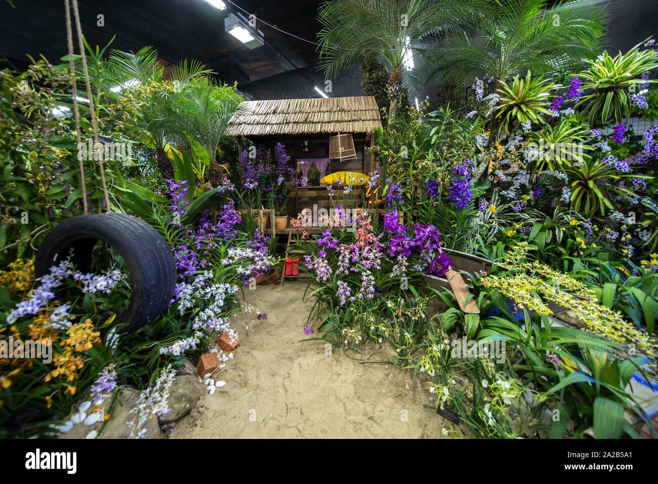 Asia pacific conference hi-res stock photography and images - Alamy