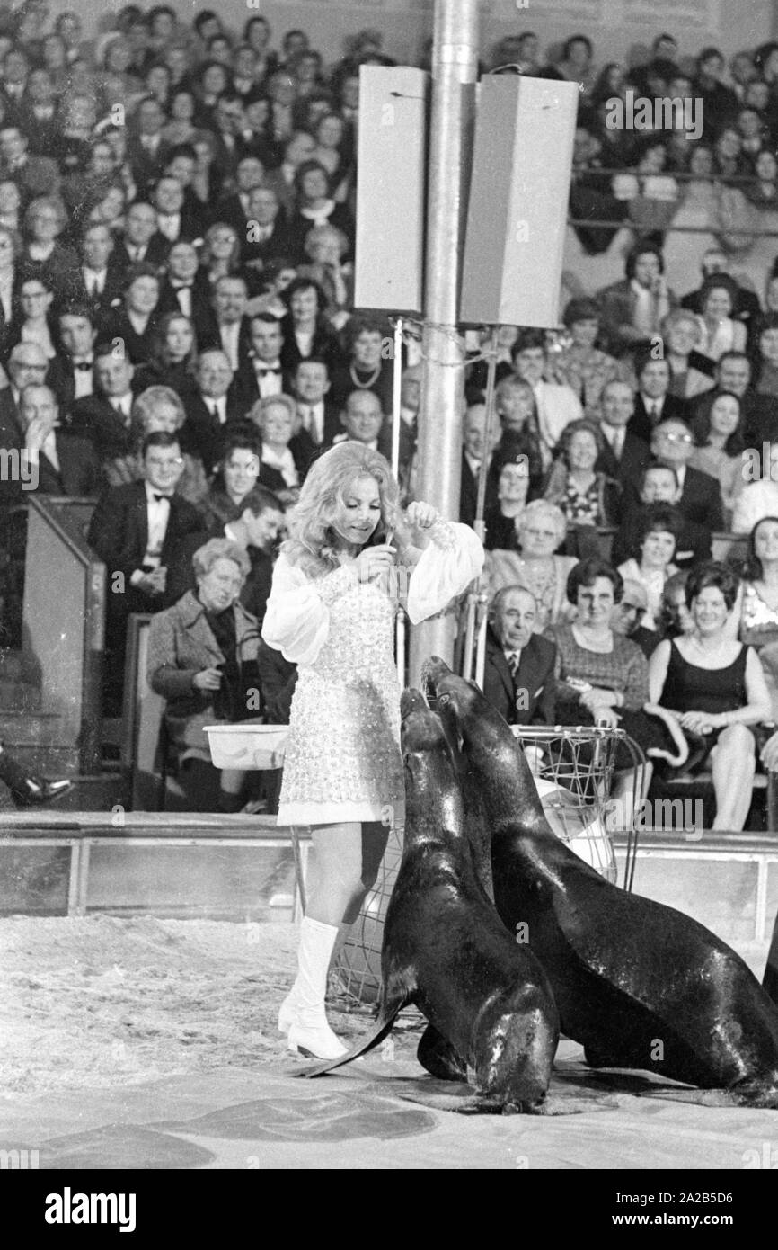 Vivi bach hi-res stock photography and images - Alamy