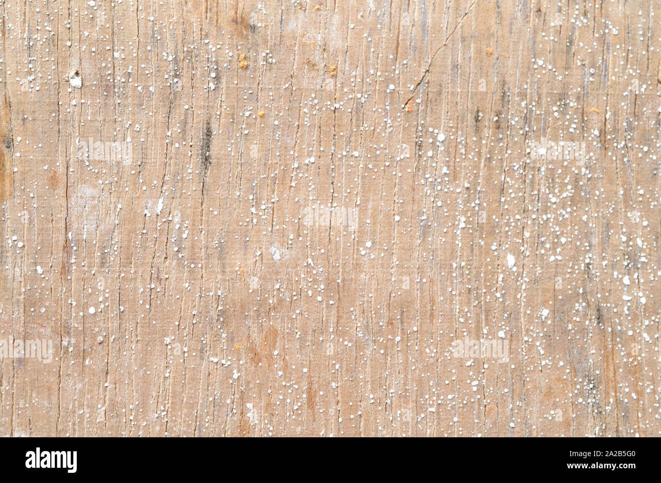 Wood board Stock Image Stock Photo - Alamy