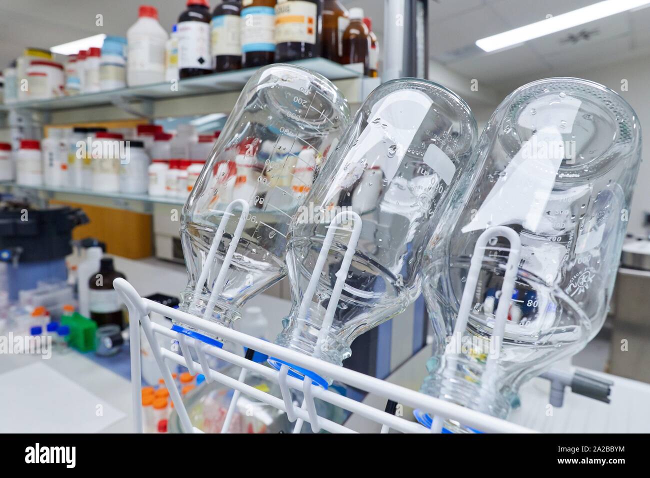 Biomaterials science hi-res stock photography and images - Alamy