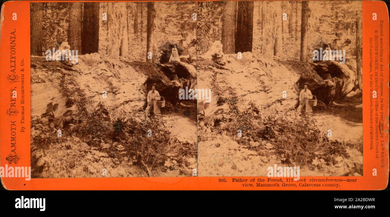 112 feet circumference hi-res stock photography and images - Alamy