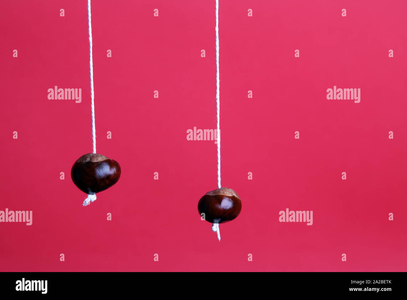 Conkers hanging by string hi-res stock photography and images - Alamy