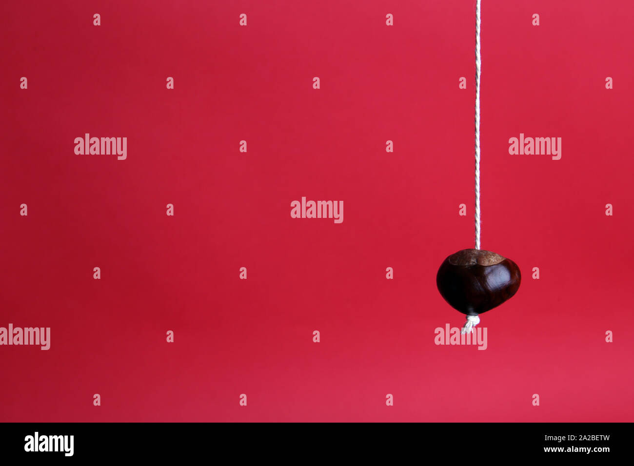 Conker On String High Resolution Stock Photography and Images - Alamy