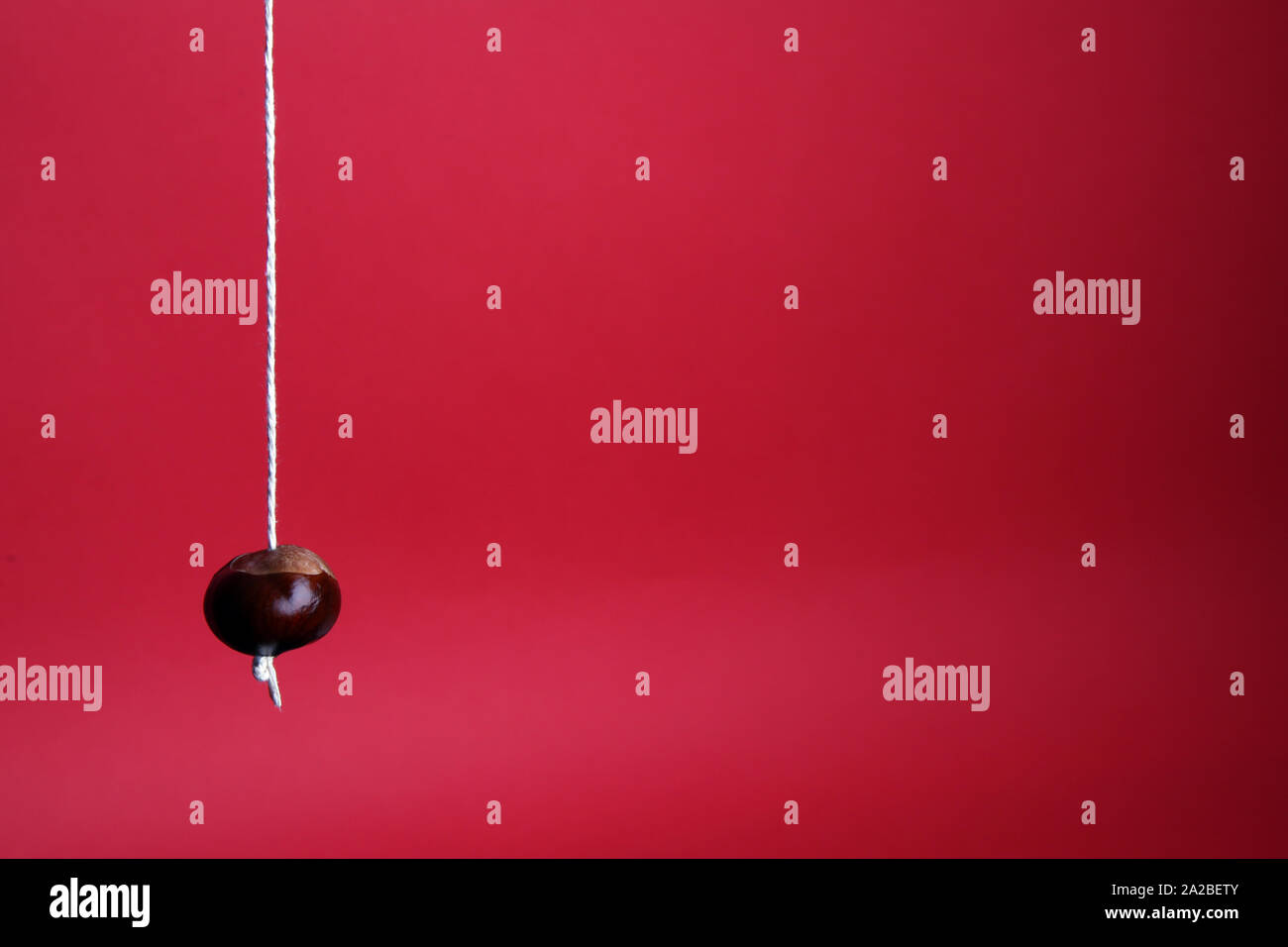 Conker war hi-res stock photography and images - Alamy