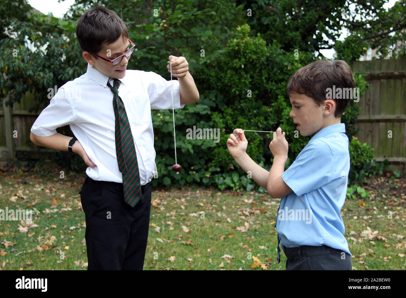Conker Game High Resolution Stock Photography and Images - Alamy