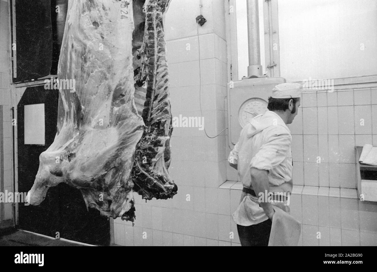 Beef slaughterhouse Black and White Stock Photos & Images - Alamy
