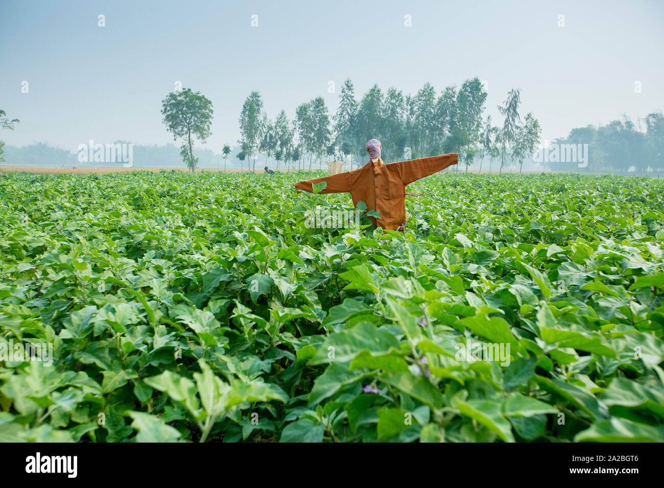 Indian Scarecrow High Resolution Stock Photography and Images - Alamy