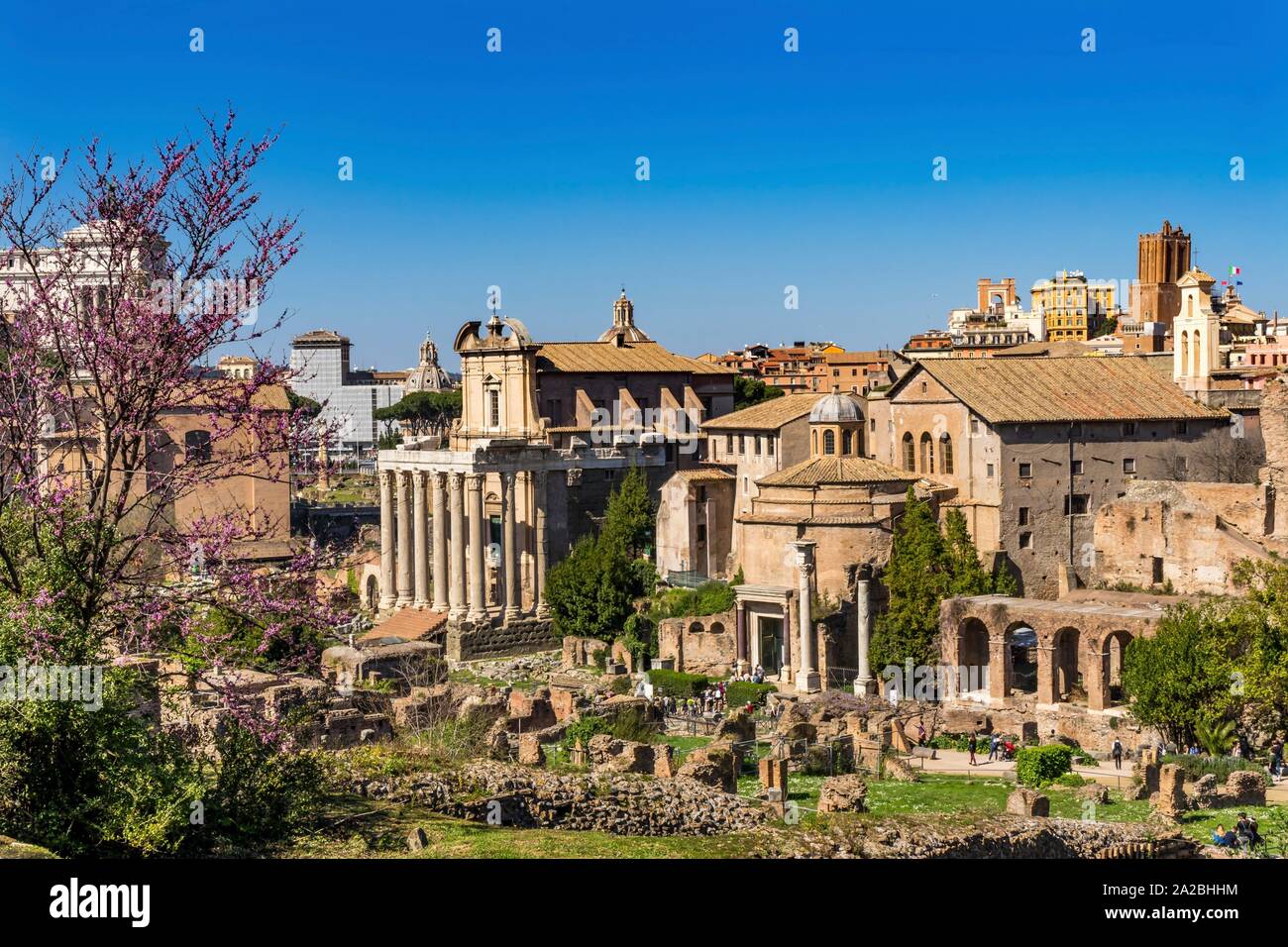 Curia forum romanum hi-res stock photography and images - Alamy
