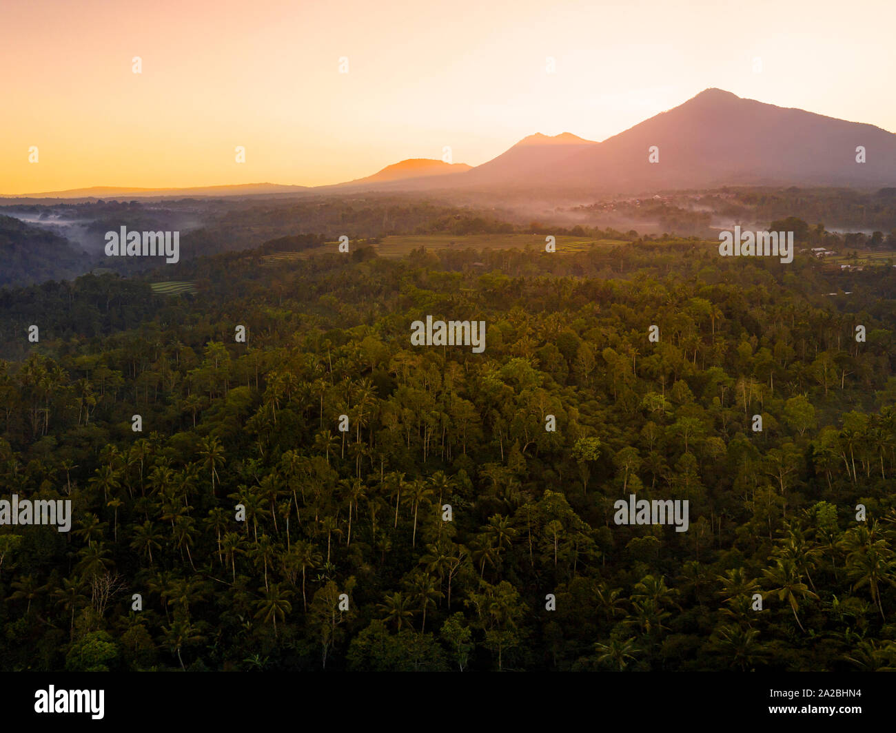 Majestic volcano at sunrise surrounded by dense rainforest Stock Photo ...