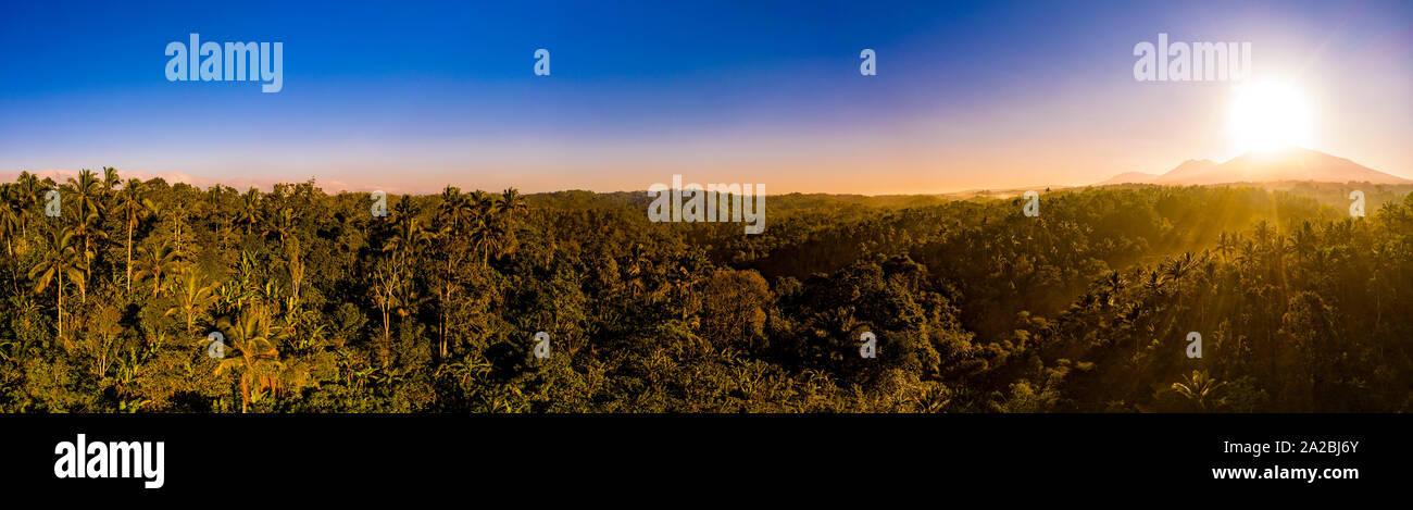 Majestic volcano at sunrise surrounded by dense rainforest Stock Photo ...