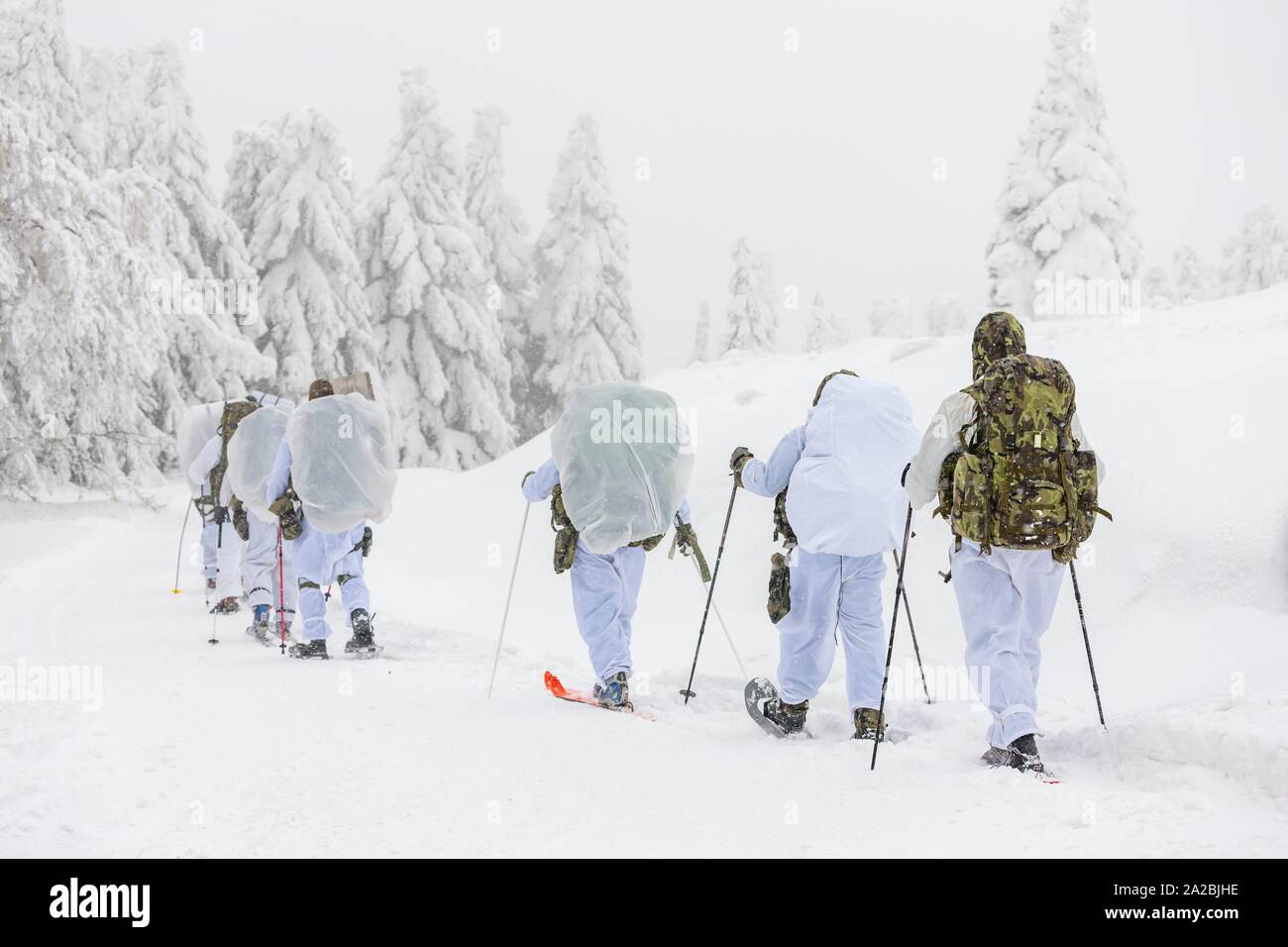 Special forces training hi-res stock photography and images - Alamy
