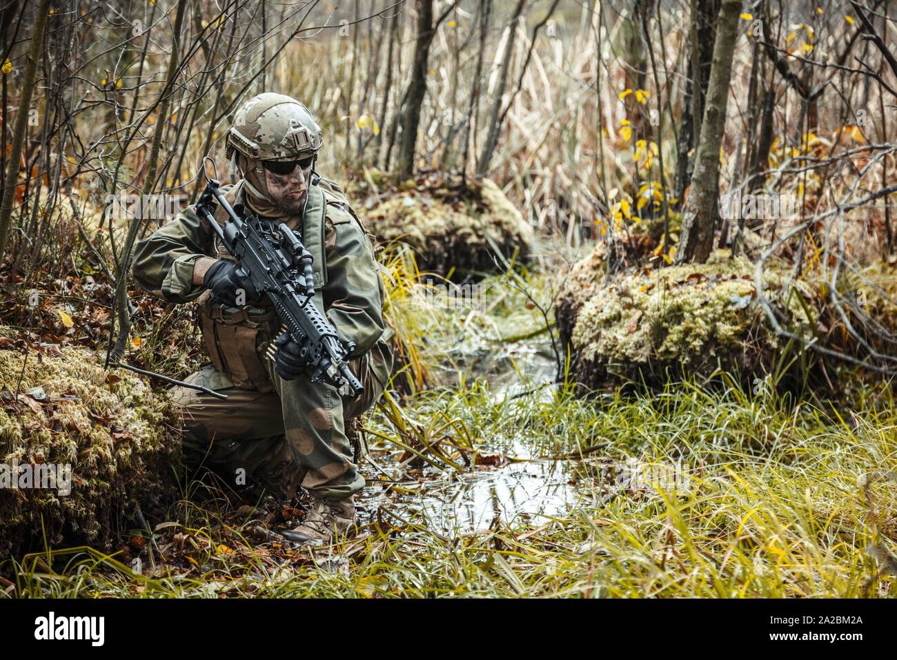 Ambush tactic hi-res stock photography and images - Alamy